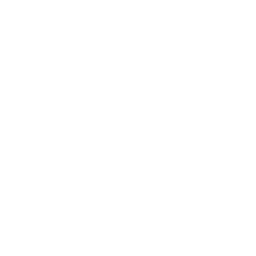 Serko Limited (SKO.NZ) - Shares outstanding