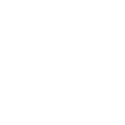SLB (Schlumberger) (SLB) - Stock price history
