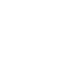 Selvita (SLV.WA) - Market capitalization