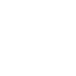 SMG Swiss Marketplace Group Holding AG (SMG.SW) - Cash on Hand