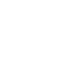 SMN Power Company (SMNP.OM) - Market capitalization