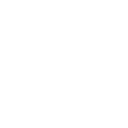 Syndax Pharmaceuticals (SNDX) - Net Assets