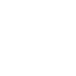 Synergy CHC (SNYR) - P/S ratio