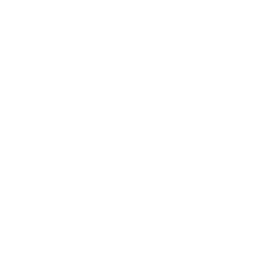SoFi (SOFI) - Shares outstanding