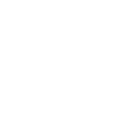 Southern Petrochemical Industries Corp (SPIC.NS) - P/B ratio