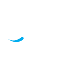 Sapiens International Corporation (SPNS) - Revenue