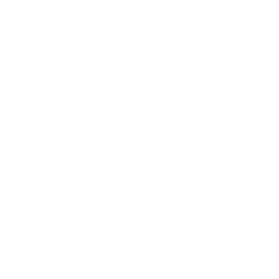 Spruce Biosciences (SPRB) - Revenue