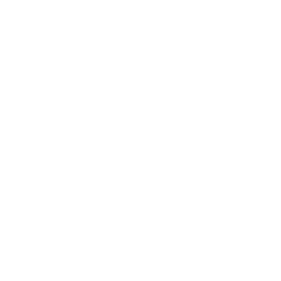 SpartanNash (SPTN) - Earnings