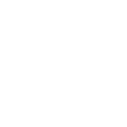 Southern States Bancshares (SSBK) - Net Assets
