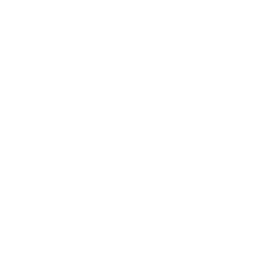 STAAR Surgical (STAA) - P/E ratio