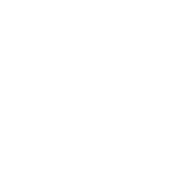 Stem, Inc - 10-K annual report 2025