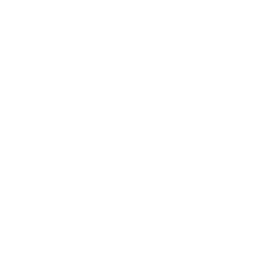 Stevanato Group (STVN) - Market capitalization