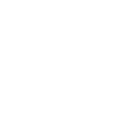 Silvaco Group (SVCO) - Total assets