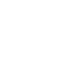 Schloss Wachenheim (SWA.DE) - P/B ratio