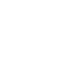 Skyworks Solutions (SWKS) - Market capitalization