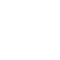sterling & wilson solar (SWSOLAR.NS) - Stock price history
