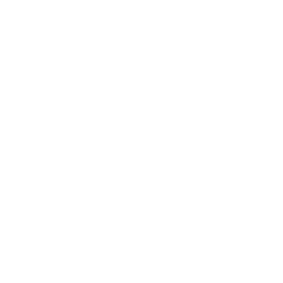Schweiter Technologies (SWTQ.SW) - P/B ratio