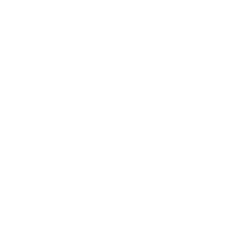 Taiga Motors (TAIG.TO) - Market capitalization
