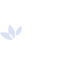 Protara Therapeutics (TARA) - Total assets