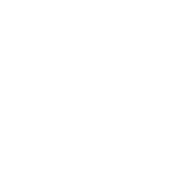 The Bancorp (TBBK) - Revenue