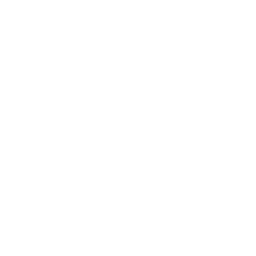 Tower Bersama Infrastructure (TBIG.JK) - P/B ratio