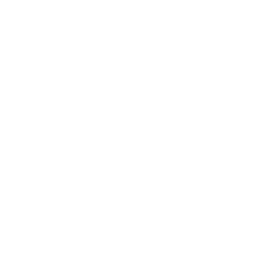 Tech Mahindra (TECHM.NS) - Dividends