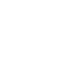 Third Harmonic Bio (THRD) - P/E ratio