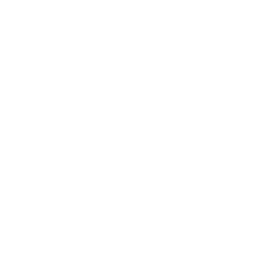 Thorne HealthTech (THRN) - P/B ratio