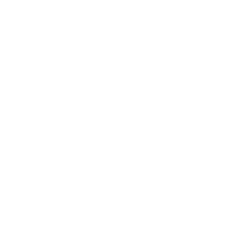 Talen Energy (TLN) - P/B ratio