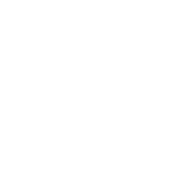 Tonix Pharmaceuticals (TNXP) - Stock split history
