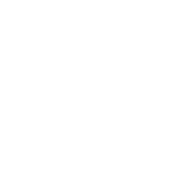 Torrent Power - Annual Reports