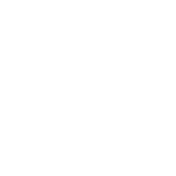 TOTVS (TOTS3.SA) - Net Assets