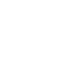 TPG Inc. - 10-Q quarterly report FY2025 Q1