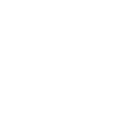 Tesla (TSLA) - Revenue