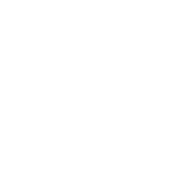 TuSimple (TSP) - Cash on Hand
