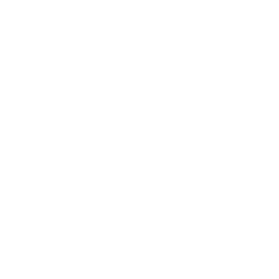 Televisa - 20-F annual report 2025