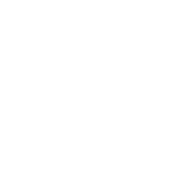 Uber (UBER) - Stock price history