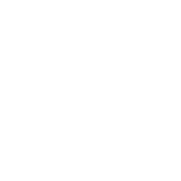 Varun Beverages (VBL.NS) - P/E ratio