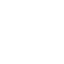 Verb Technology (VERB) - Stock split history