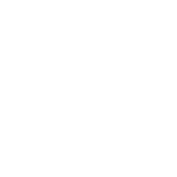 VinFast Auto (VFS) - Market capitalization