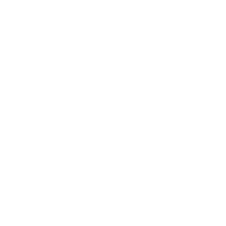 VIGO Photonics (VGO.WA) - P/B ratio