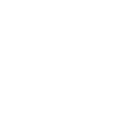 Vinh Hoan Corporation (VHC.VN) - Market capitalization