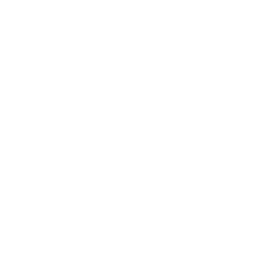 Van Lanschot Kempen (VLK.AS) - Market capitalization