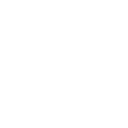 Volue ASA (VOLUE.OL) - P/S ratio