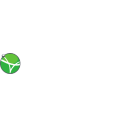 ViewRay (VRAY) - Shares outstanding