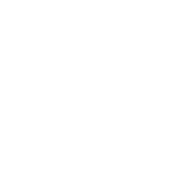 Veridis Environment (VRDS.TA) - P/S ratio