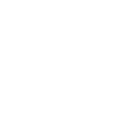 Vitesco Technologies Group (VTSC.DE) - Revenue