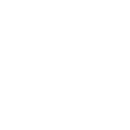 Vizsla Silver (VZLA) - Market capitalization
