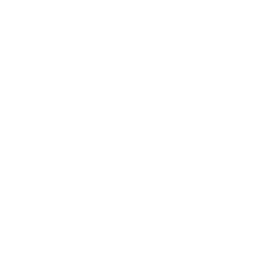 VA Tech Wabag (WABAG.NS) - Stock price history