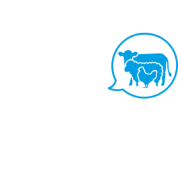 Widam Food Company (WDAM.QA) - Market capitalization